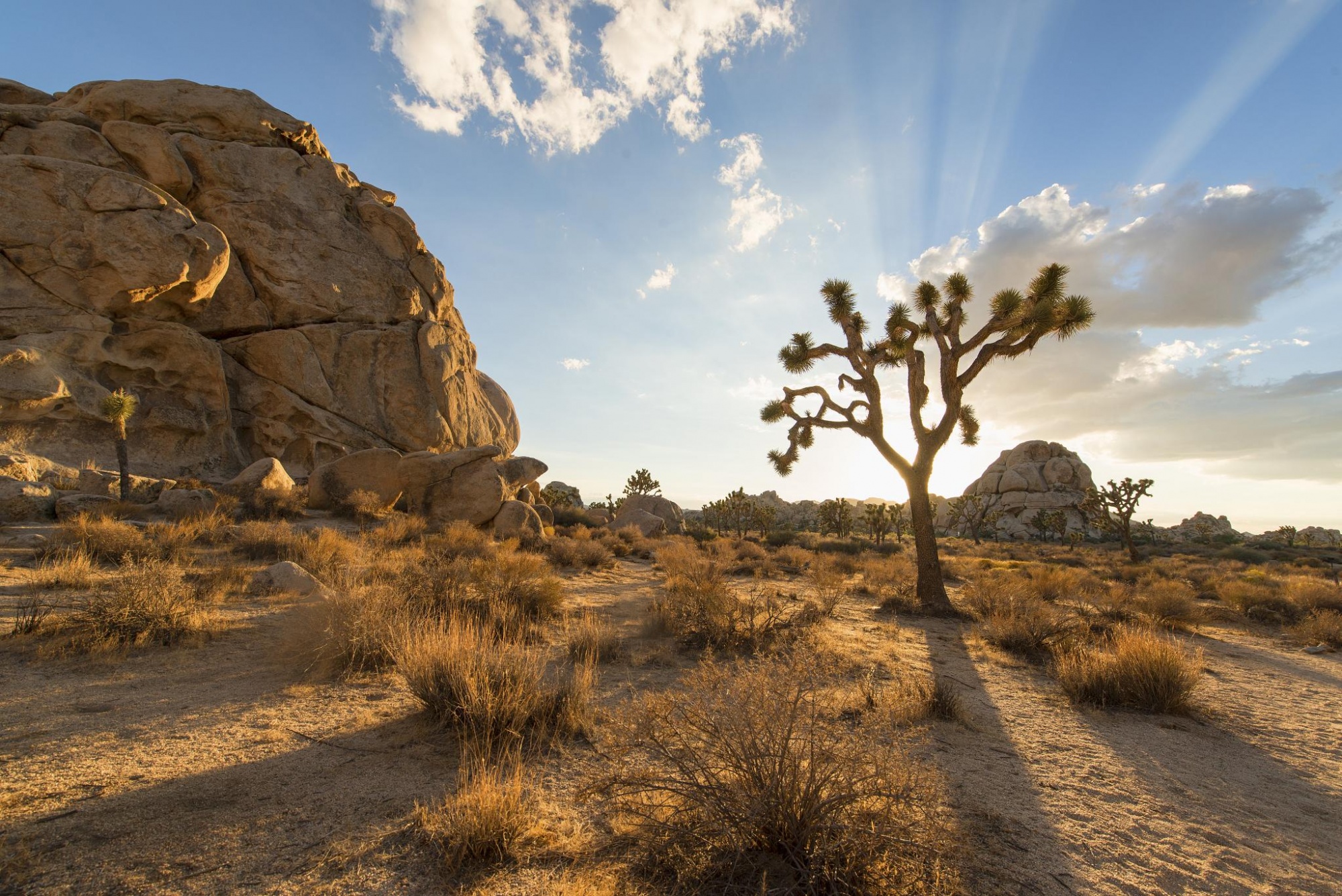 18 Small Towns Around LA You Should Absolutely Visit - Pardee Properties