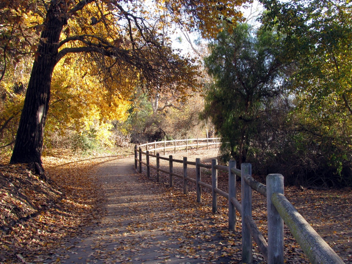 18 Small Towns Around LA You Should Absolutely Visit - Pardee Properties