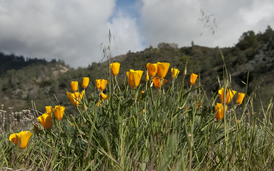 18 Small Towns Around LA You Should Absolutely Visit - Pardee Properties
