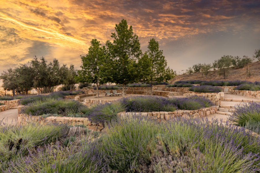 5 Awe-Inspiring Things to See & Do in Ojai - Pardee Properties